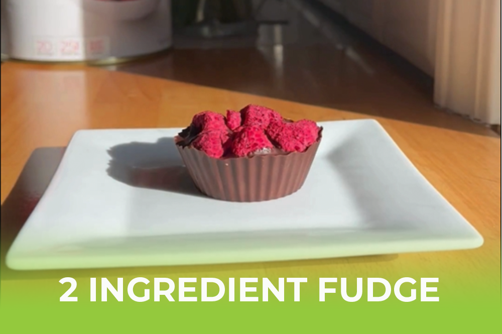 2 Ingredient Fudge – Nutristore Foods